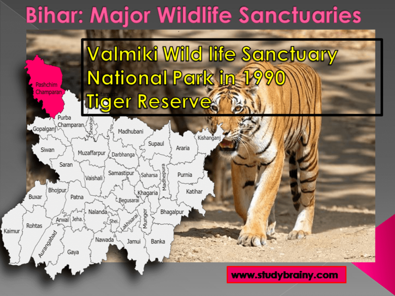 बिहार के वन्यजीव अभयारण्य (Bihar: Major Wildlife Sanctuaries) - STUDYBRAINY